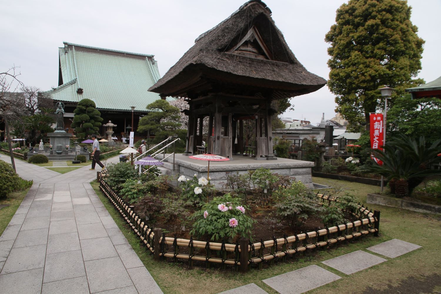 龍華寺 牡丹まつり ＜横浜市金沢区＞: 寺院探訪