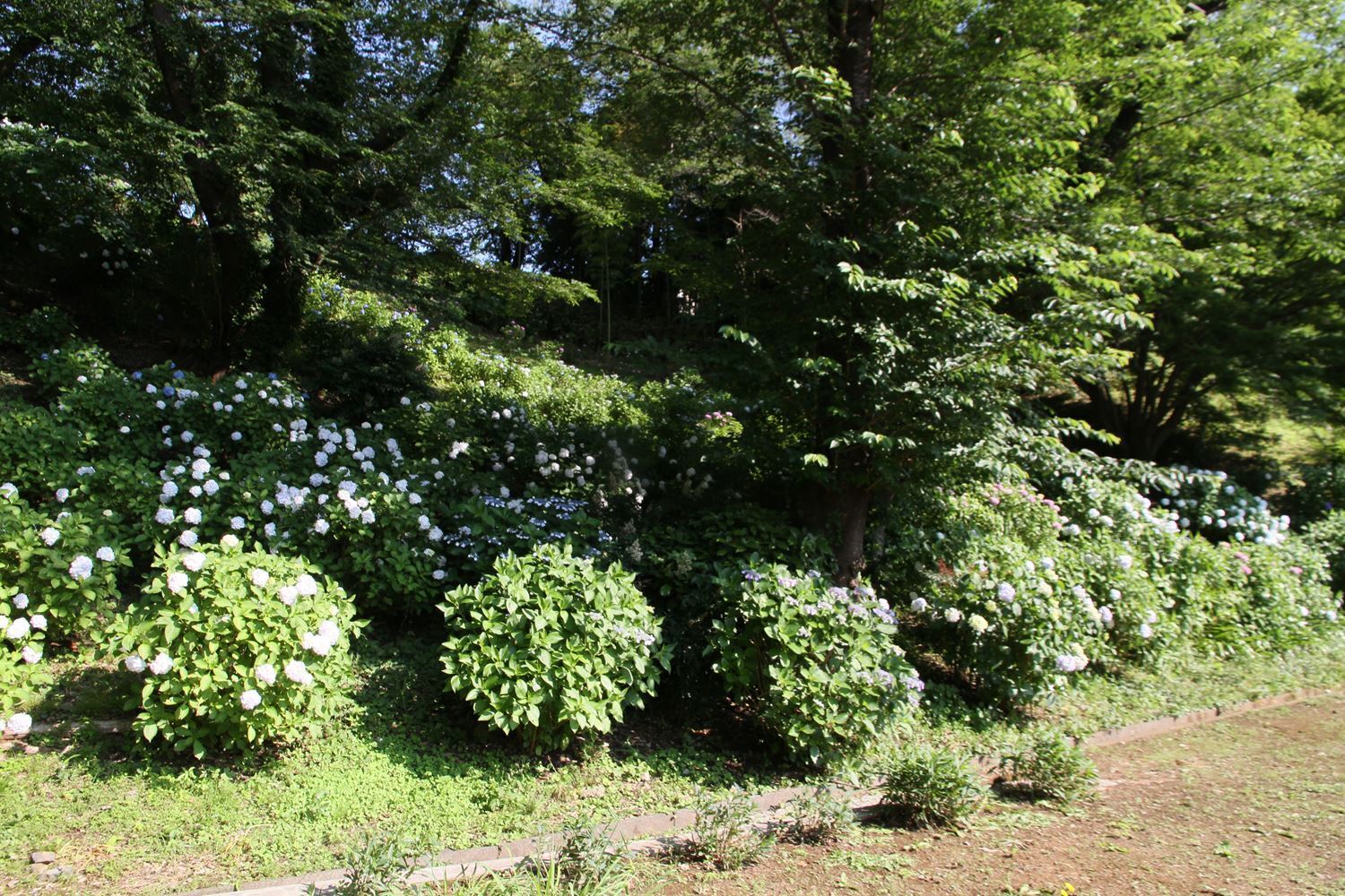 正覚寺 ＜横浜市都筑区＞: 寺院探訪